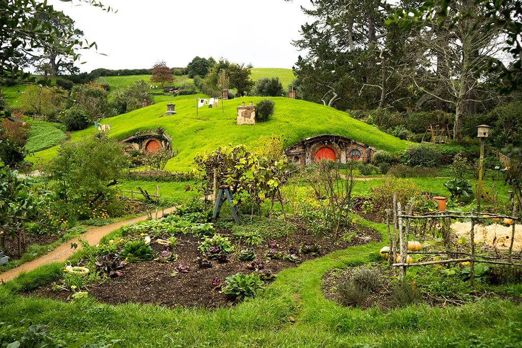 How to Visit the Hobbiton Movie Set in New Zealand