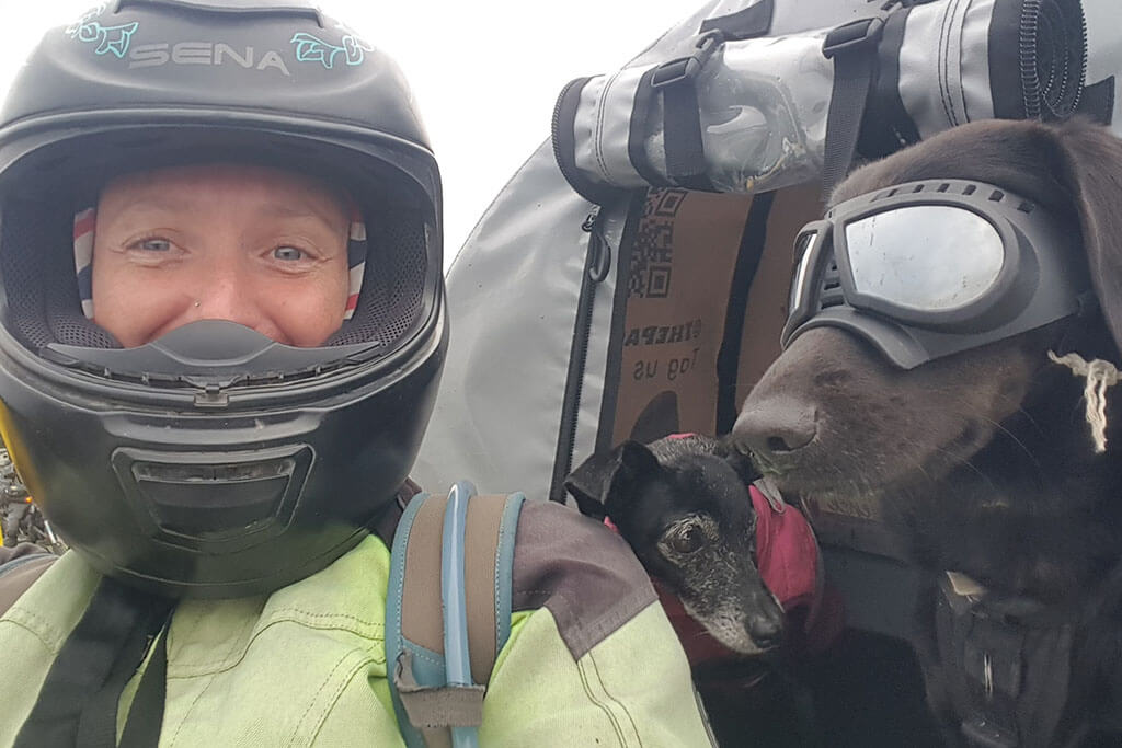 How to Motorcycle Travel with a Dog - Mad or Nomad