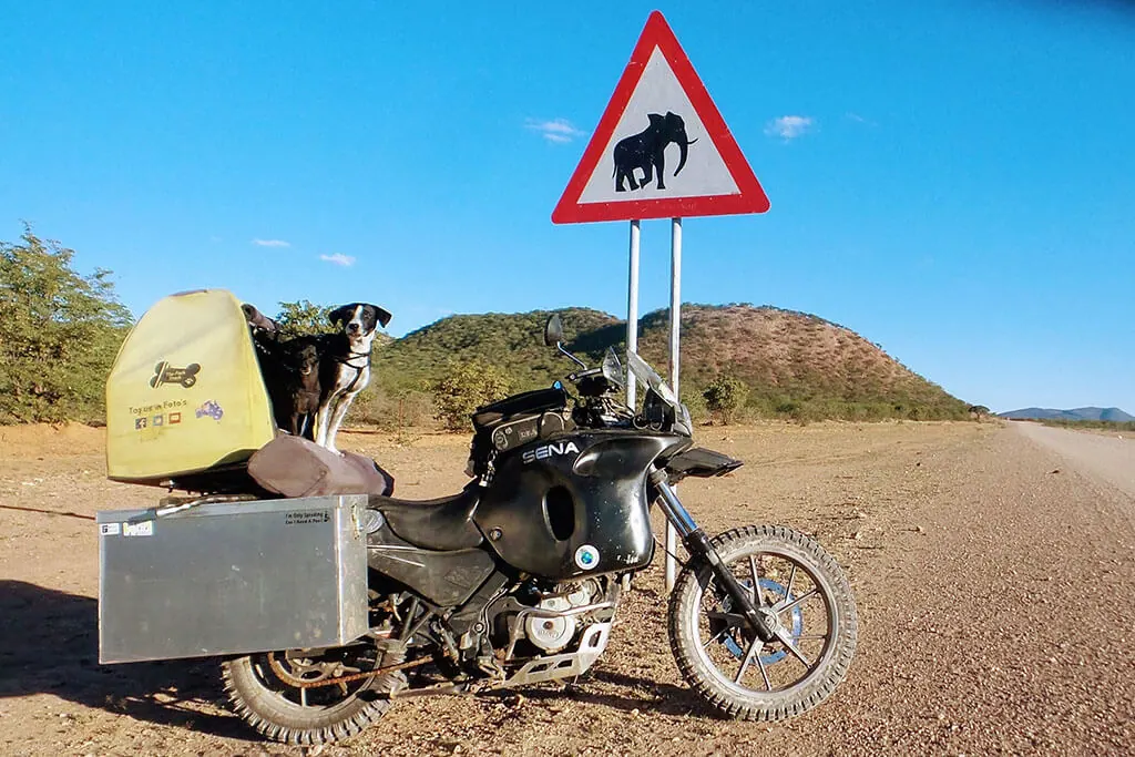 How to Motorcycle Travel with a Dog - Mad or Nomad