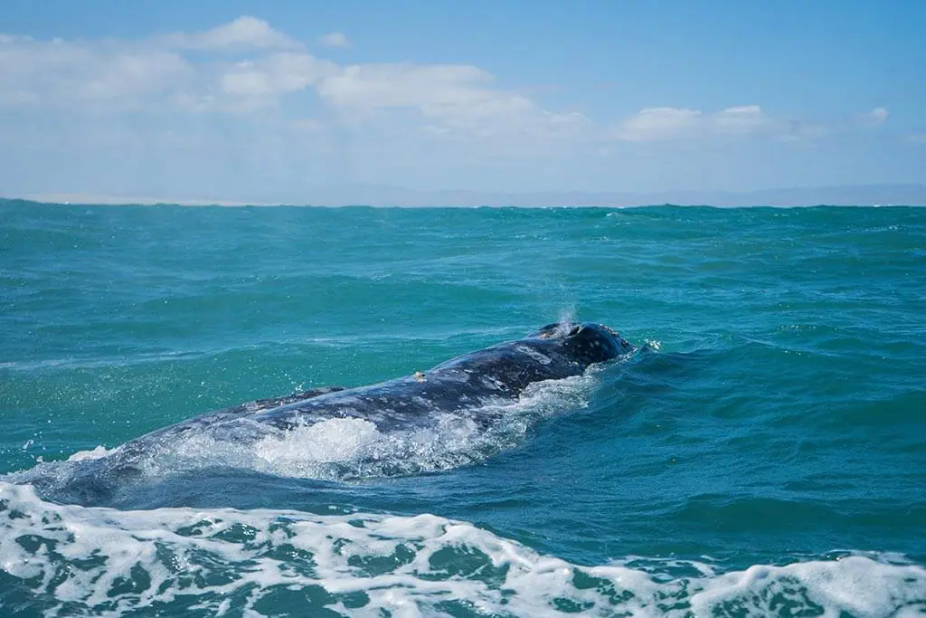 Motorcycle Travel Blog Mexico: The Other Side - Mad or Nomad