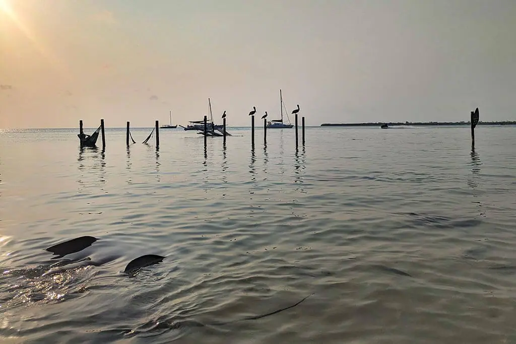 Motorcycle Travel Guide: Belize - Mad or Nomad