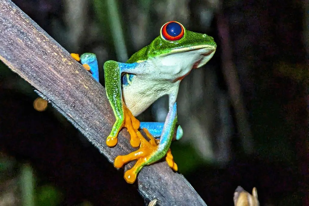 Motorcycle Travel Blog Costa Rica: Pura Vida!