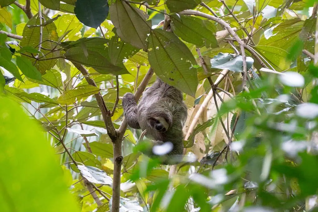 The Best Motorcycle Routes in Costa Rica - Mad or Nomad