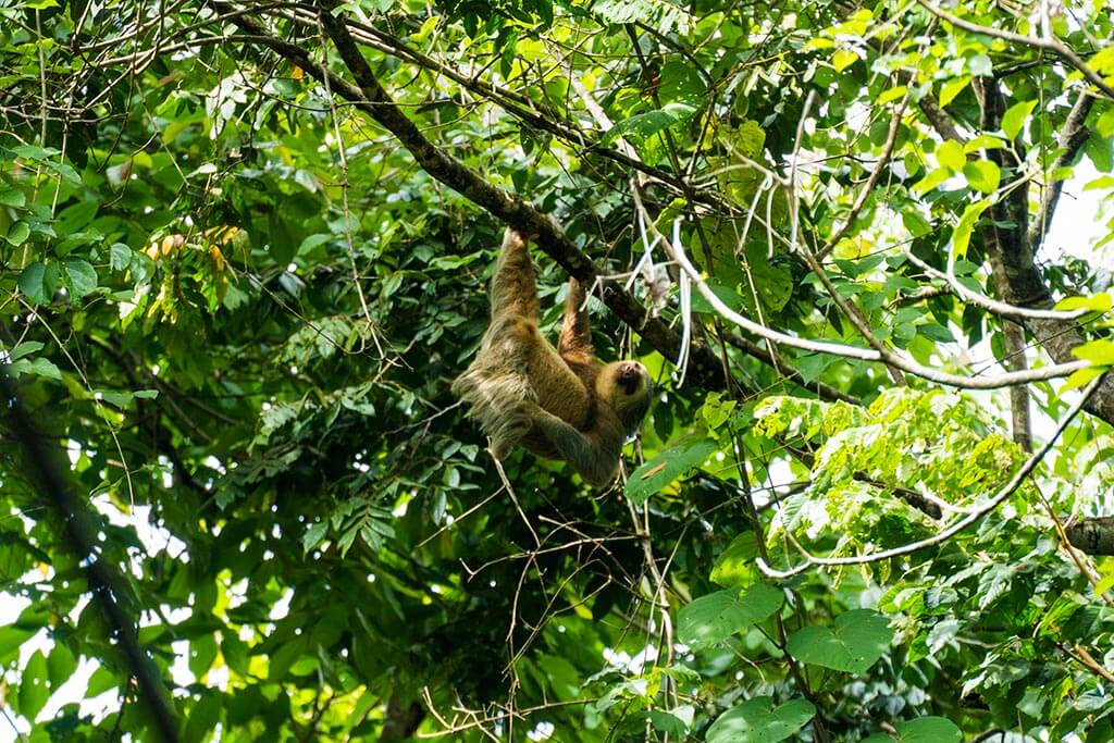 Motorcycle Travel Blog Costa Rica: Pura Vida!
