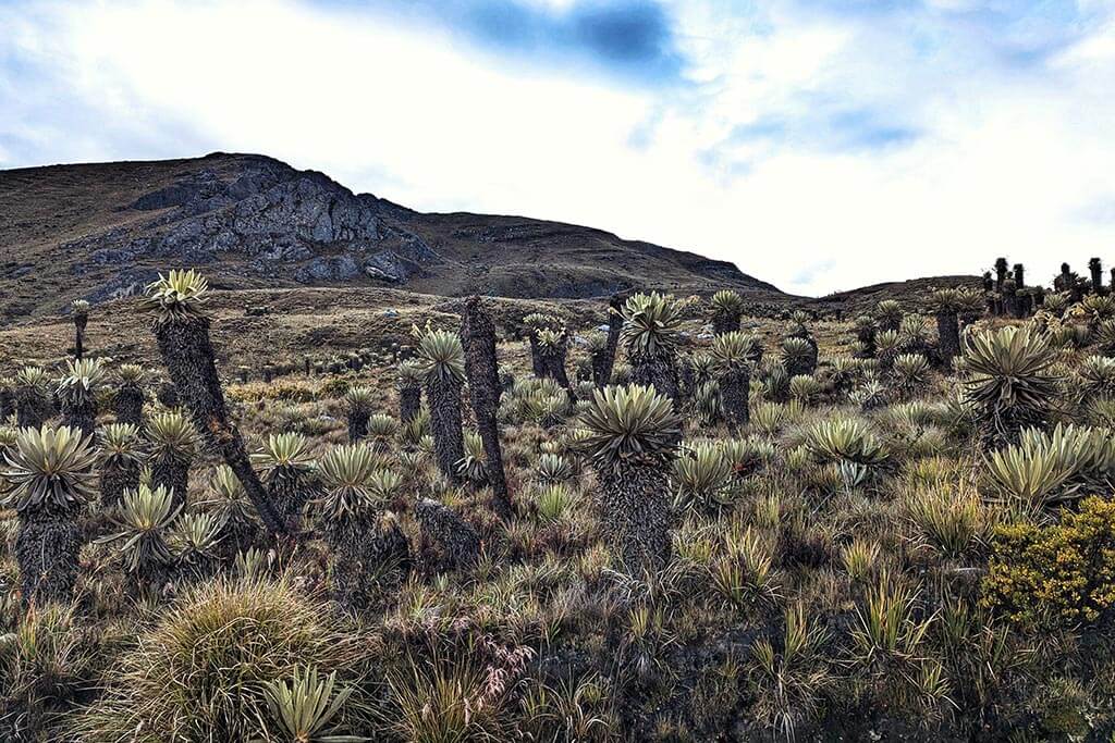 Colombia Motorcycle Travel Blog: Close Calls - Mad or Nomad