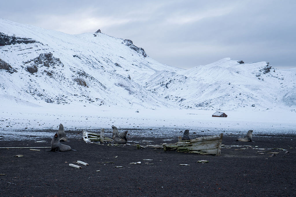 Antarctica Travel Blog: Our Journey to the 7th Continent
