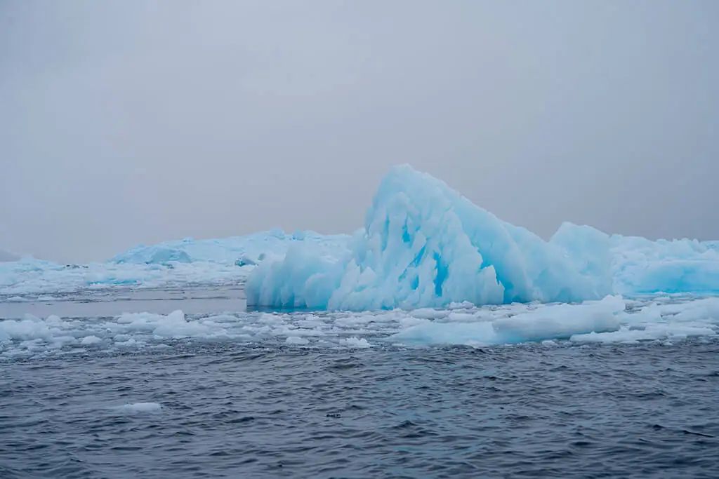 Antarctica Travel Blog: Our Journey to the 7th Continent